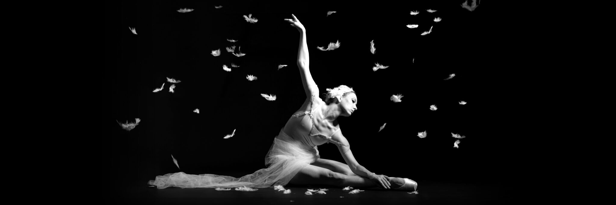 2022-2023 Season | City Ballet of San Diego